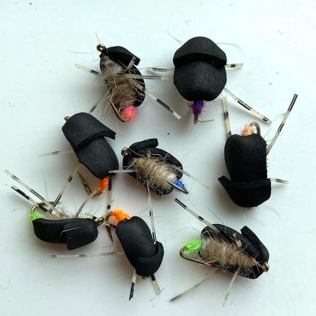 6 Pcs. Fishing Flies Premium Black Foam Bugs Assortment Kamasan Hook - Etsy UK