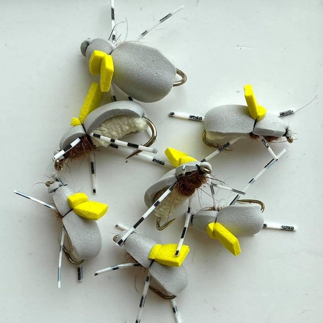 6 Pcs. Fishing Flies Premium Bugs Kamasan Hook Handmade - Etsy