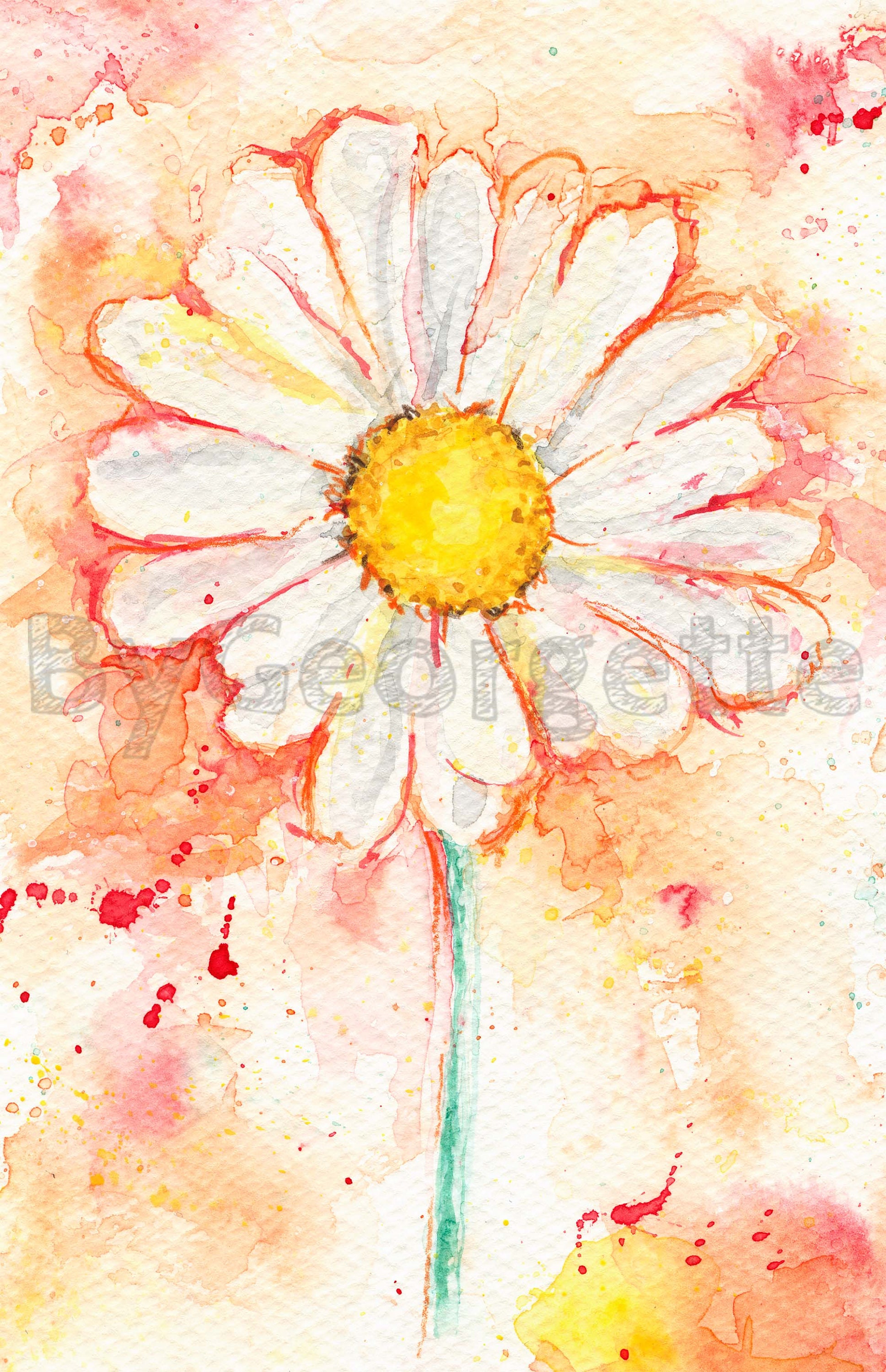 Daisy - Original Watercolour Daisy Blank Card & Envelope - Etsy