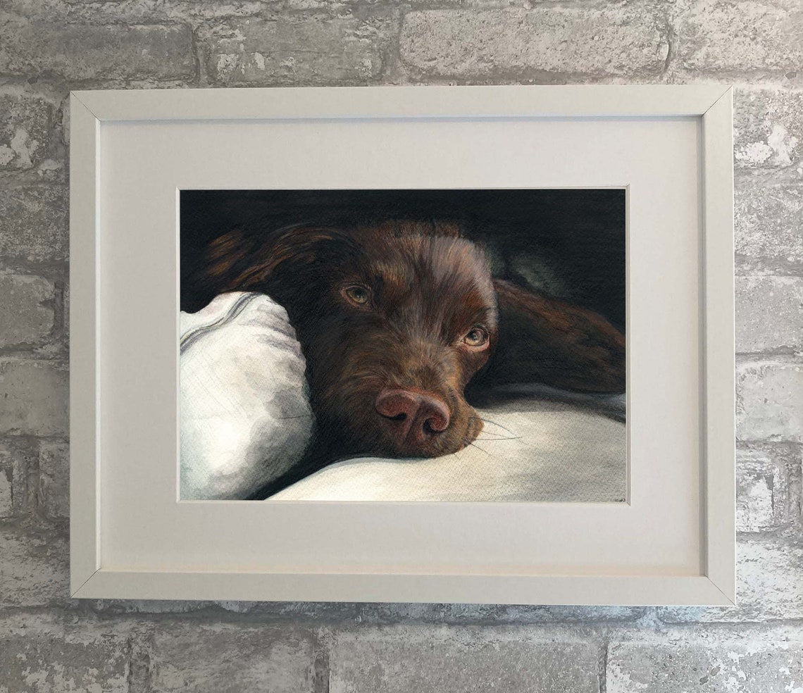 Dog Portrait Chocolate Spaniel - Etsy