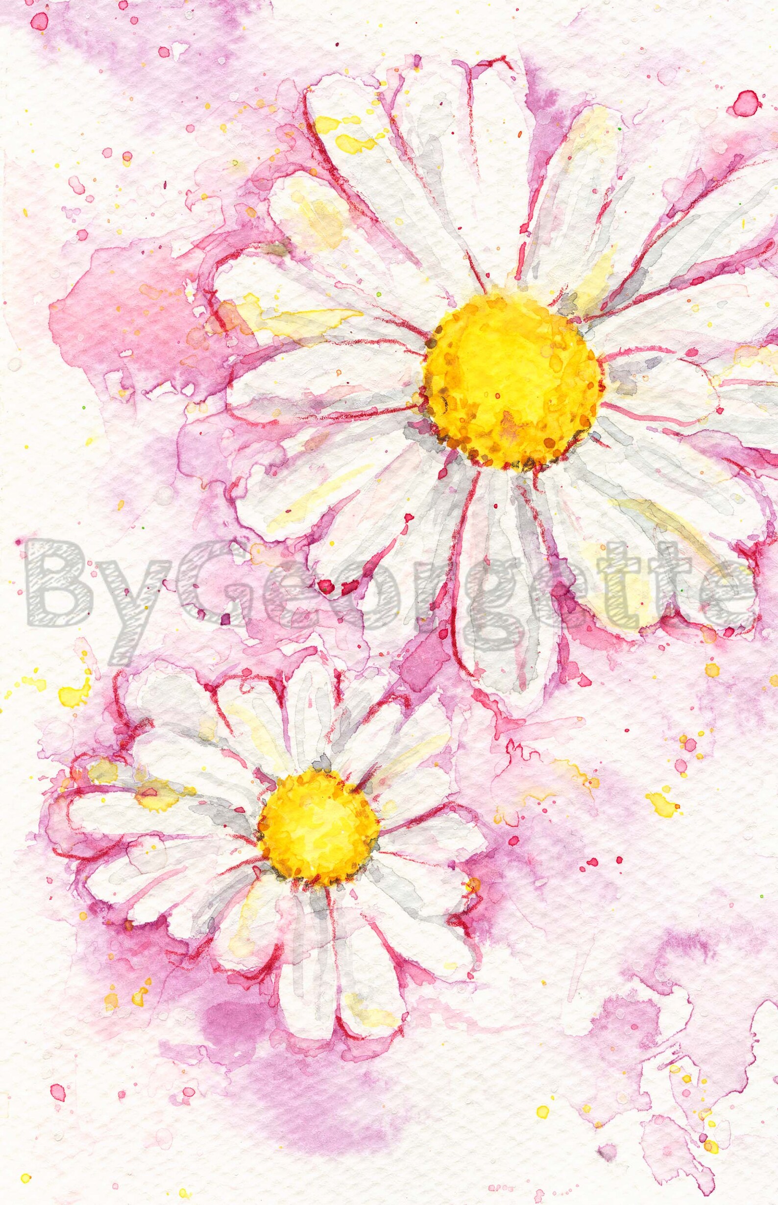 Daisy - Original Watercolour Daisy Blank Card & Envelope - Etsy