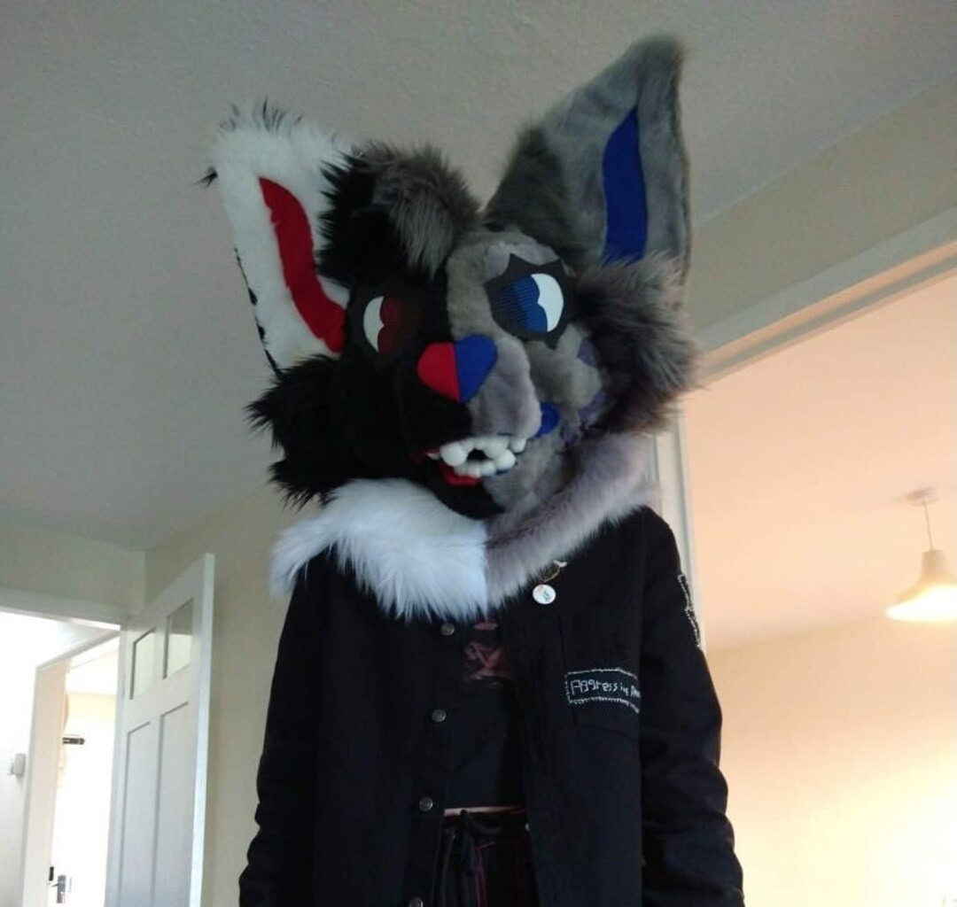 Closed Custom Fursuit Partial Commission Cat Dog Fursuit Head and Paws ...