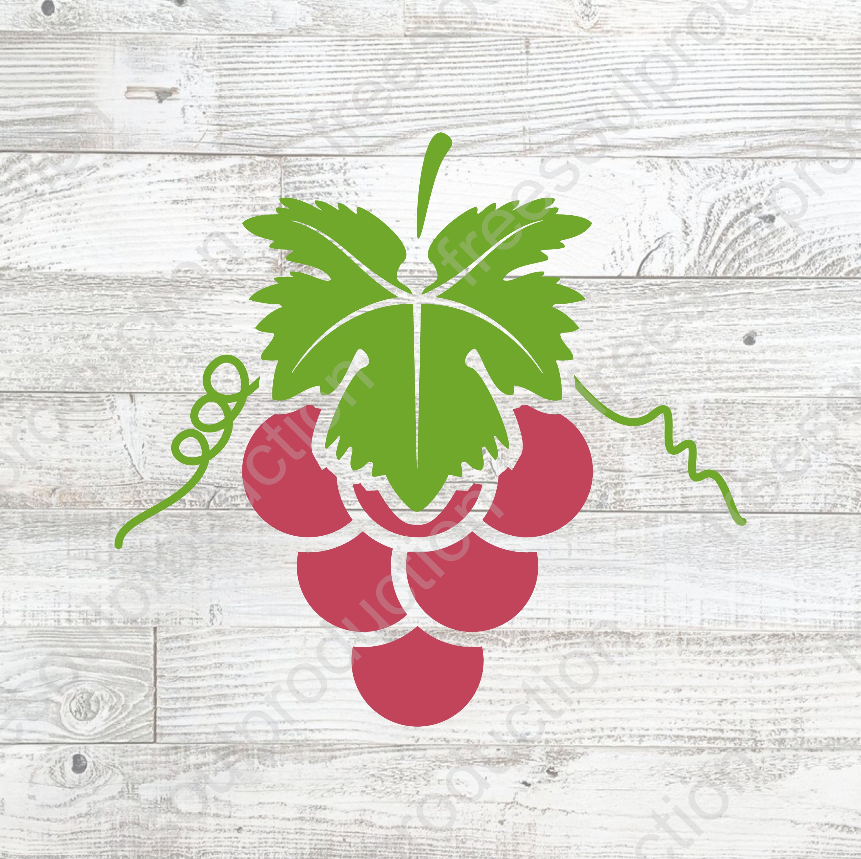 Red grapes SVG. Grape vine svg. Grapes cluster svg. Cut file. | Etsy