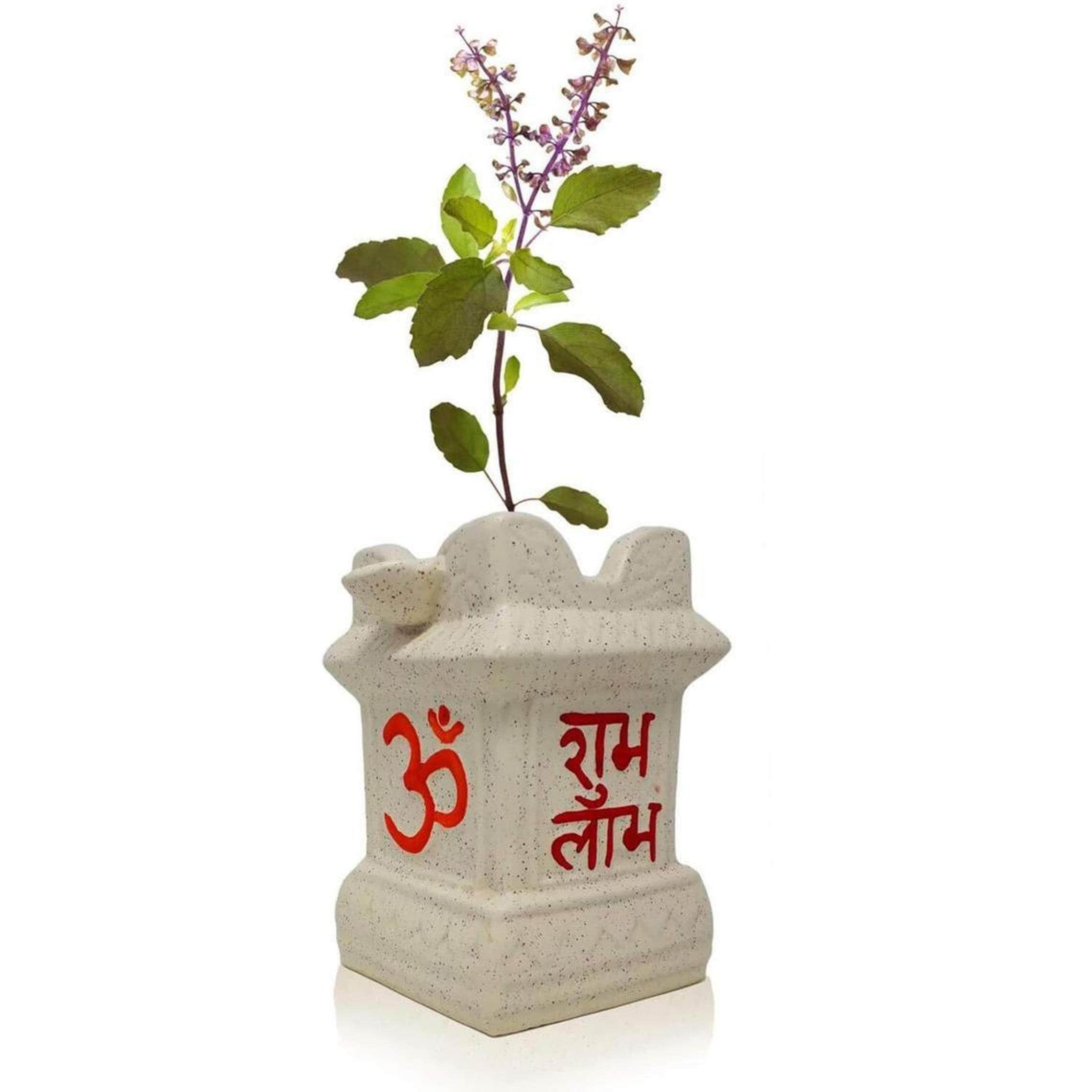 Tulsi Plant Pot Designs