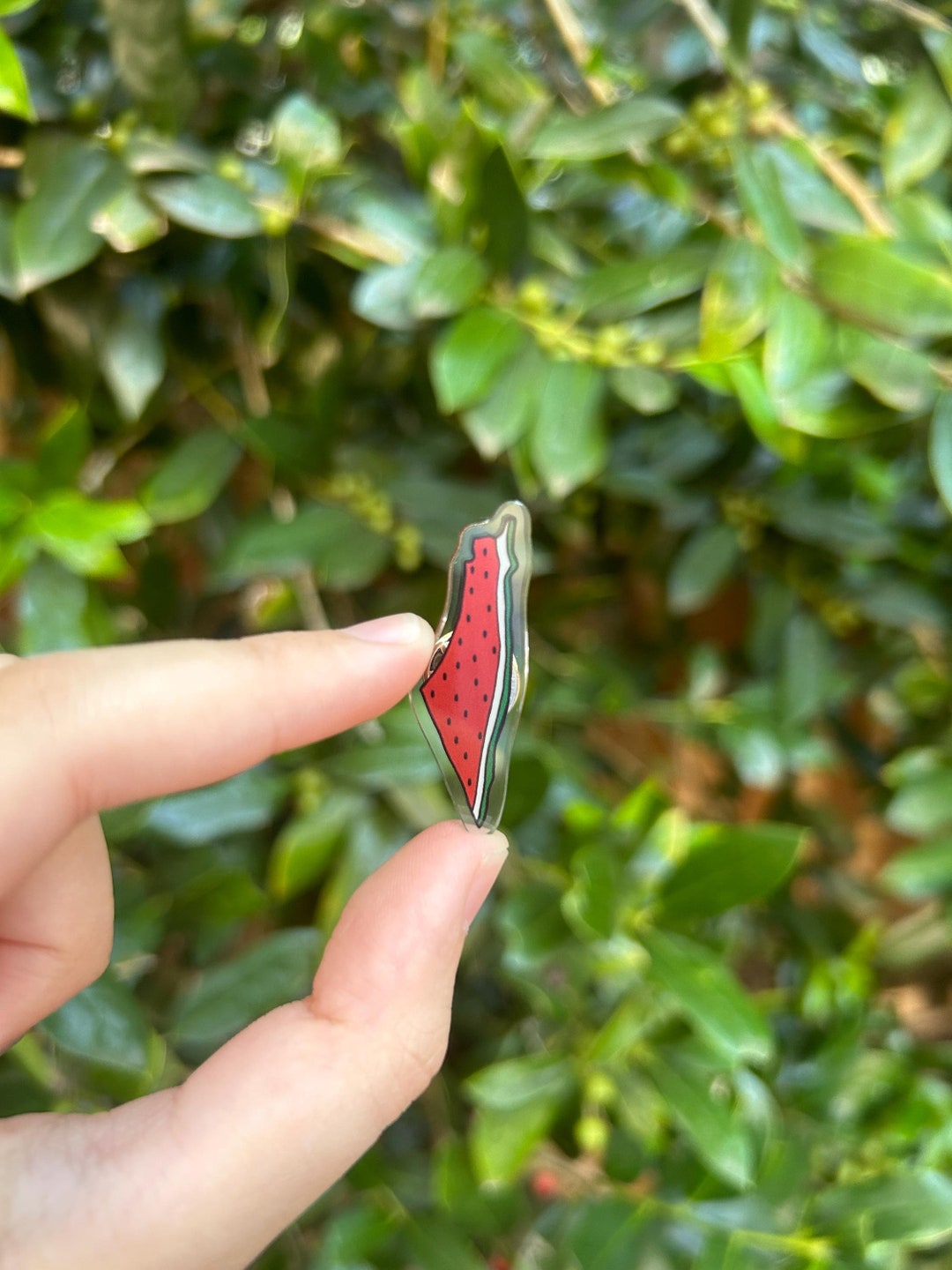 Palestine Watermelon Map Pin, Palestinian Map Pin, Watermelon Pin - Etsy