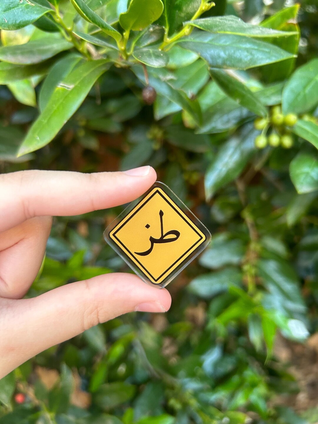 Tuz Pin, Whatever in Arabic Pin, Arab Pin, Arabic Pin - Etsy