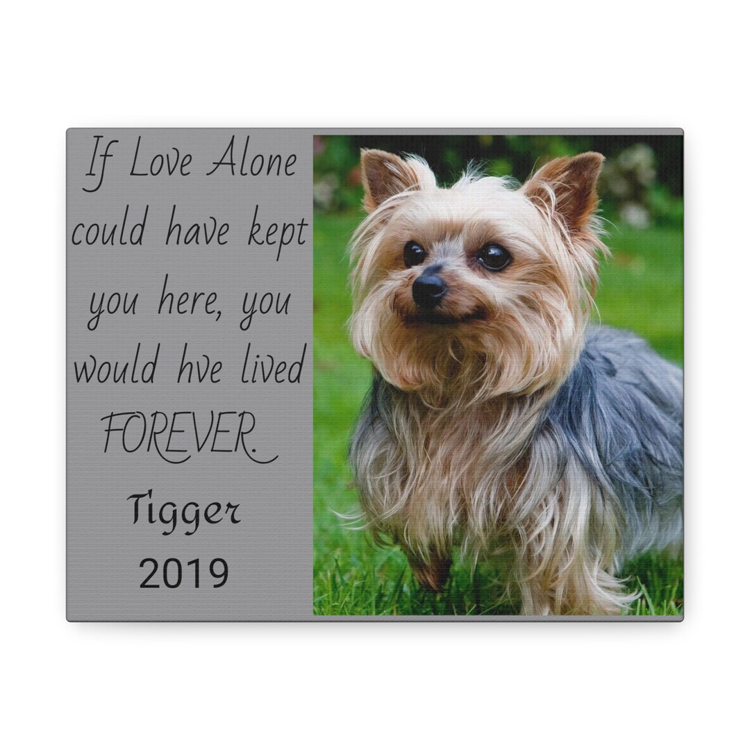 Canvas Pet Memorial. Yorkie Mom, Dogs, Cats, Horse, Fur Babies ...