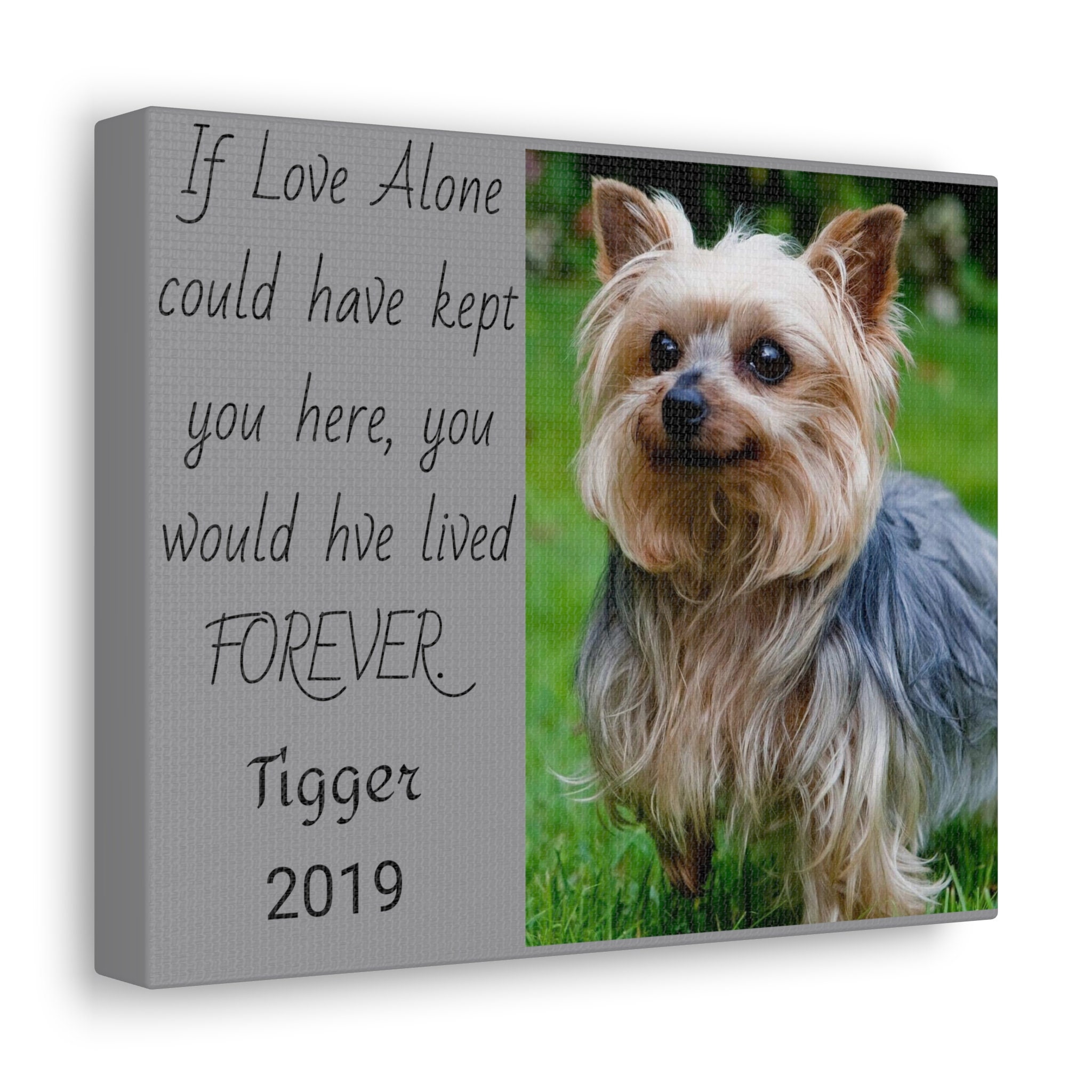 Canvas Pet Memorial. Yorkie Mom, Dogs, Cats, Horse, Fur Babies ...