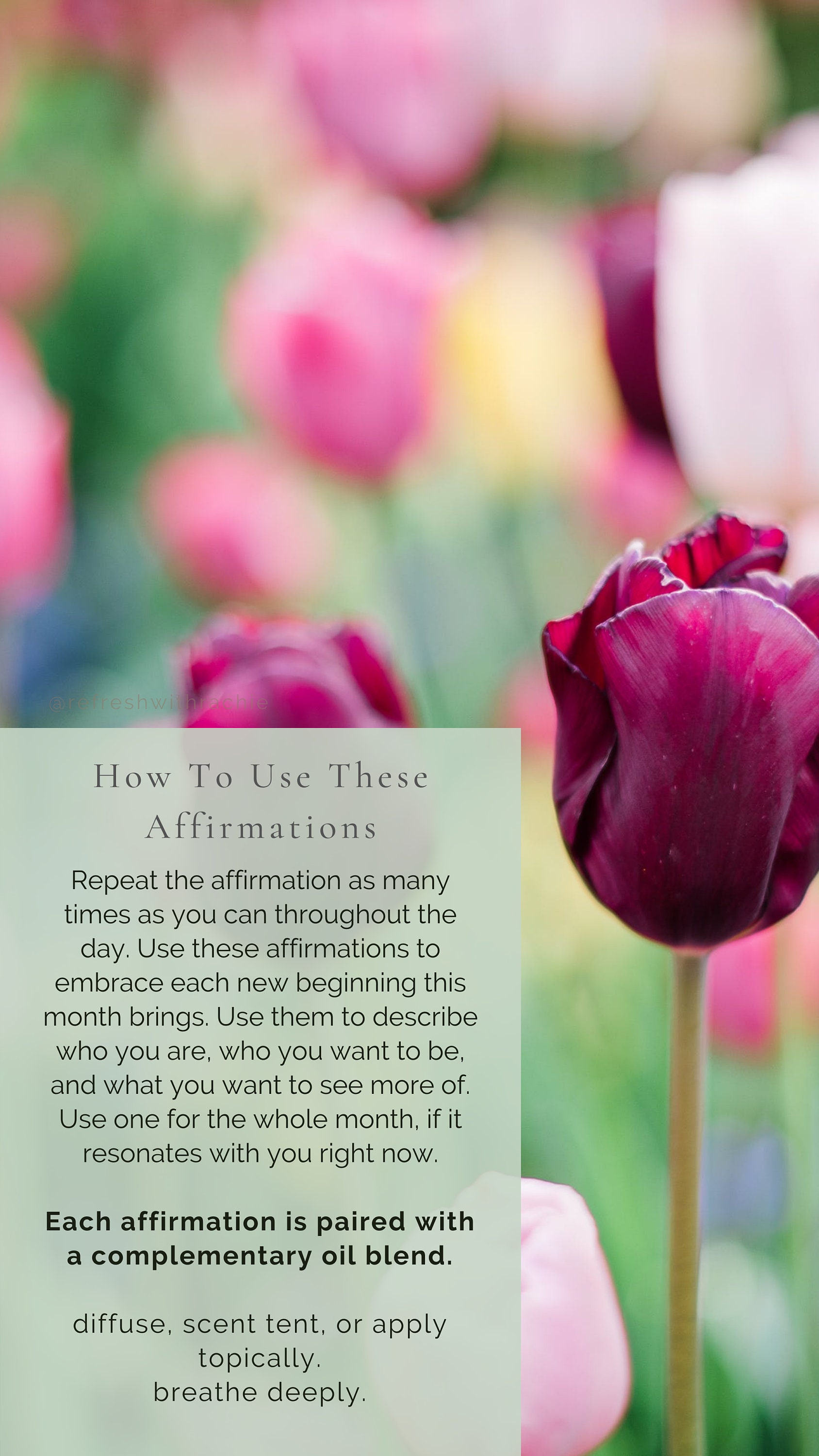 IG Stories | Floral Affirmations & Diffuser Blends | Bonus Oil ...