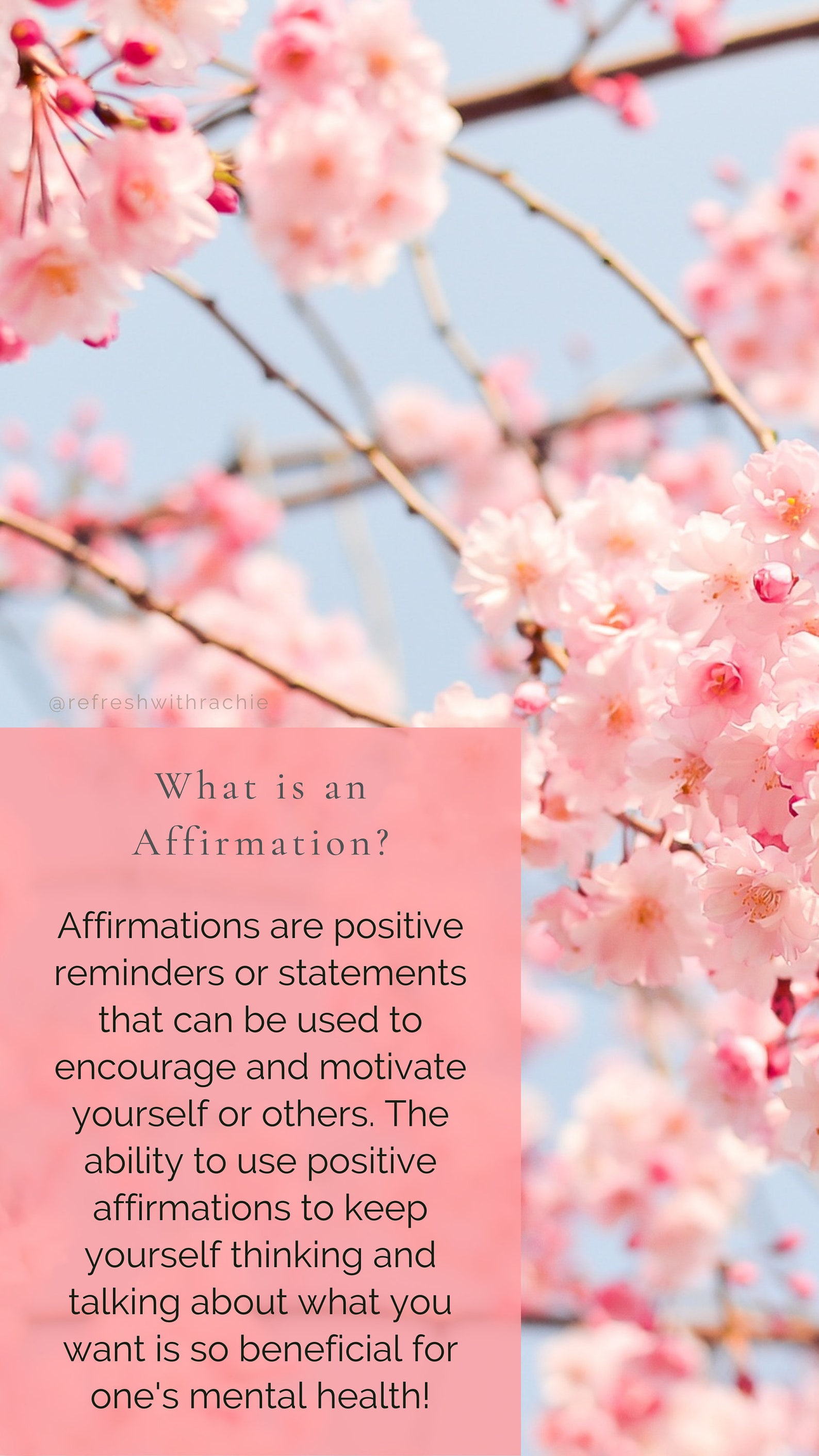 IG Stories | Floral Affirmations & Diffuser Blends | Bonus Oil ...