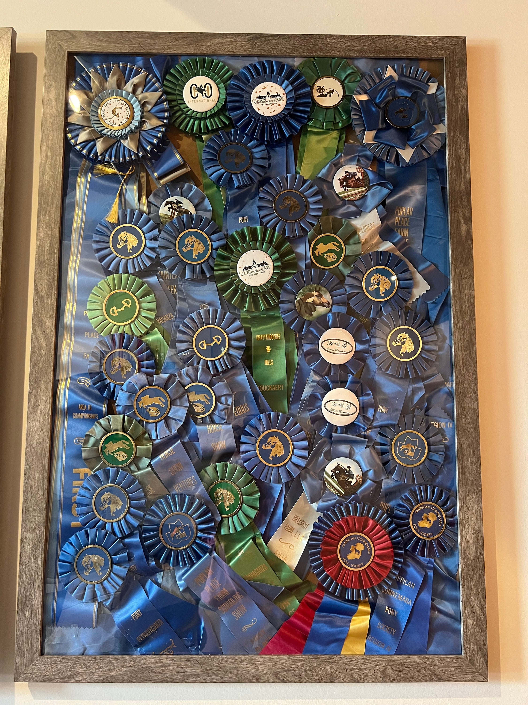 Custom Horse Show Art Pieces you Send in Your Ribbons - Etsy