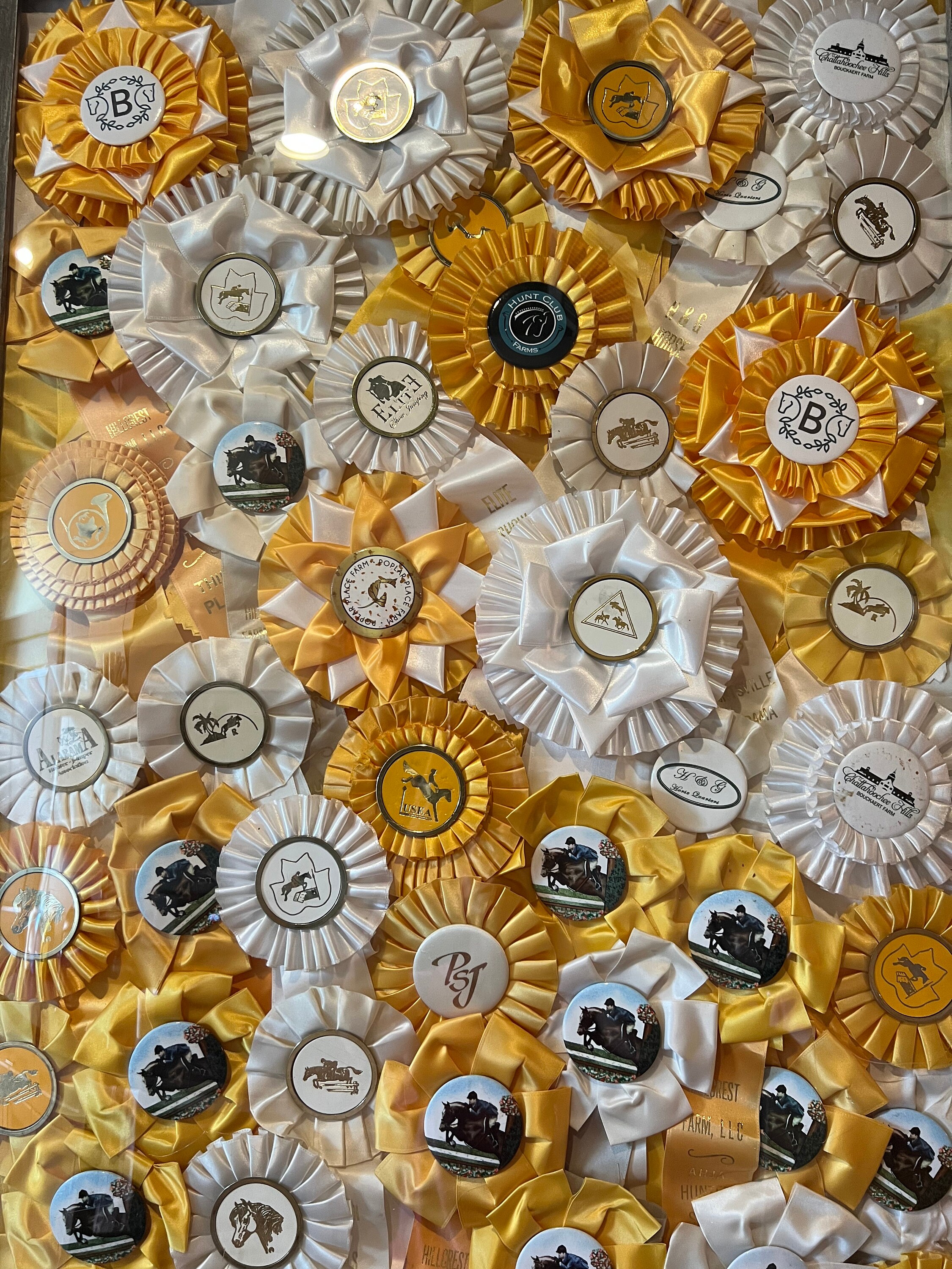 Custom Horse Show Art Pieces you Send in Your Ribbons - Etsy