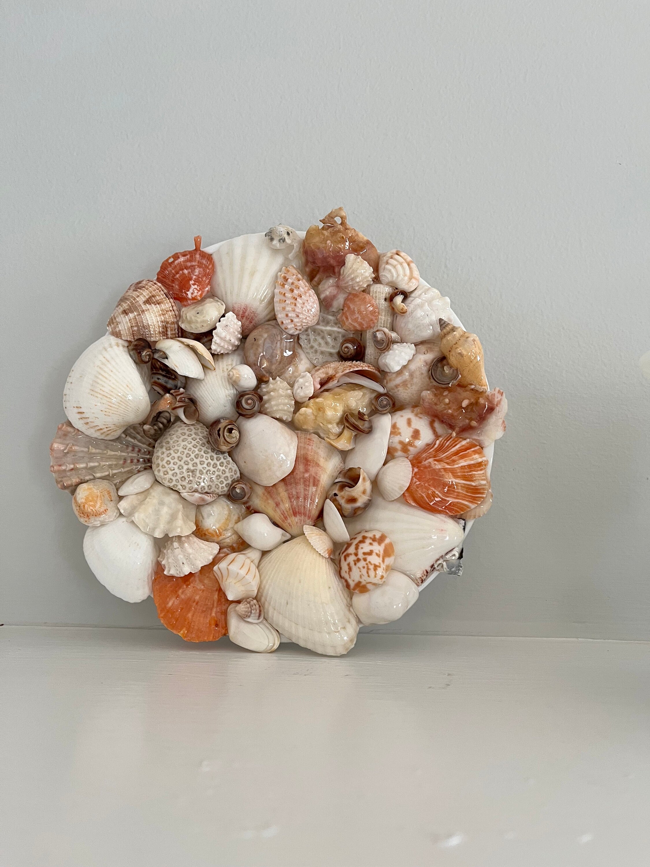 Sea Shells Art/ocean Art/beach Art/home Decor/house Warming Gift/resin ...