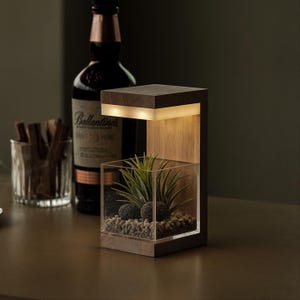 LED Lights Stand Planters Room Decor Home Bedroom Living Room - Etsy