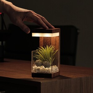 LED Lights Stand Planters Room Decor Home Bedroom Living Room - Etsy