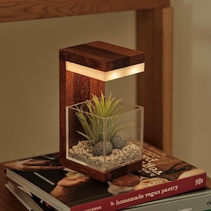 LED Lights Stand Planters Room Decor Home Bedroom Living Room - Etsy