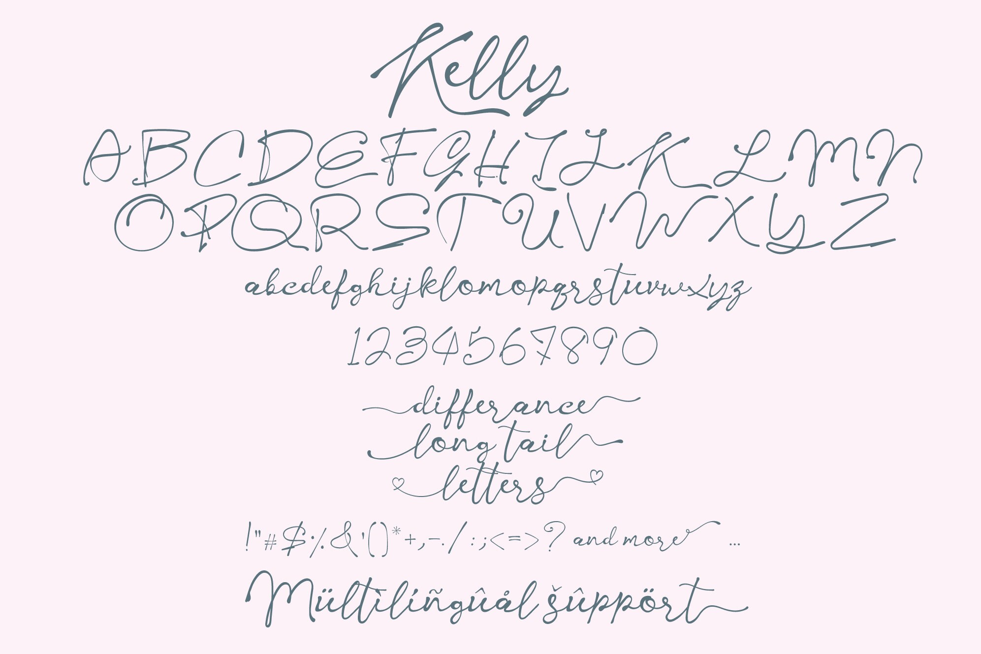 Kelly Signature Font: Modern Calligraphy Script - Etsy
