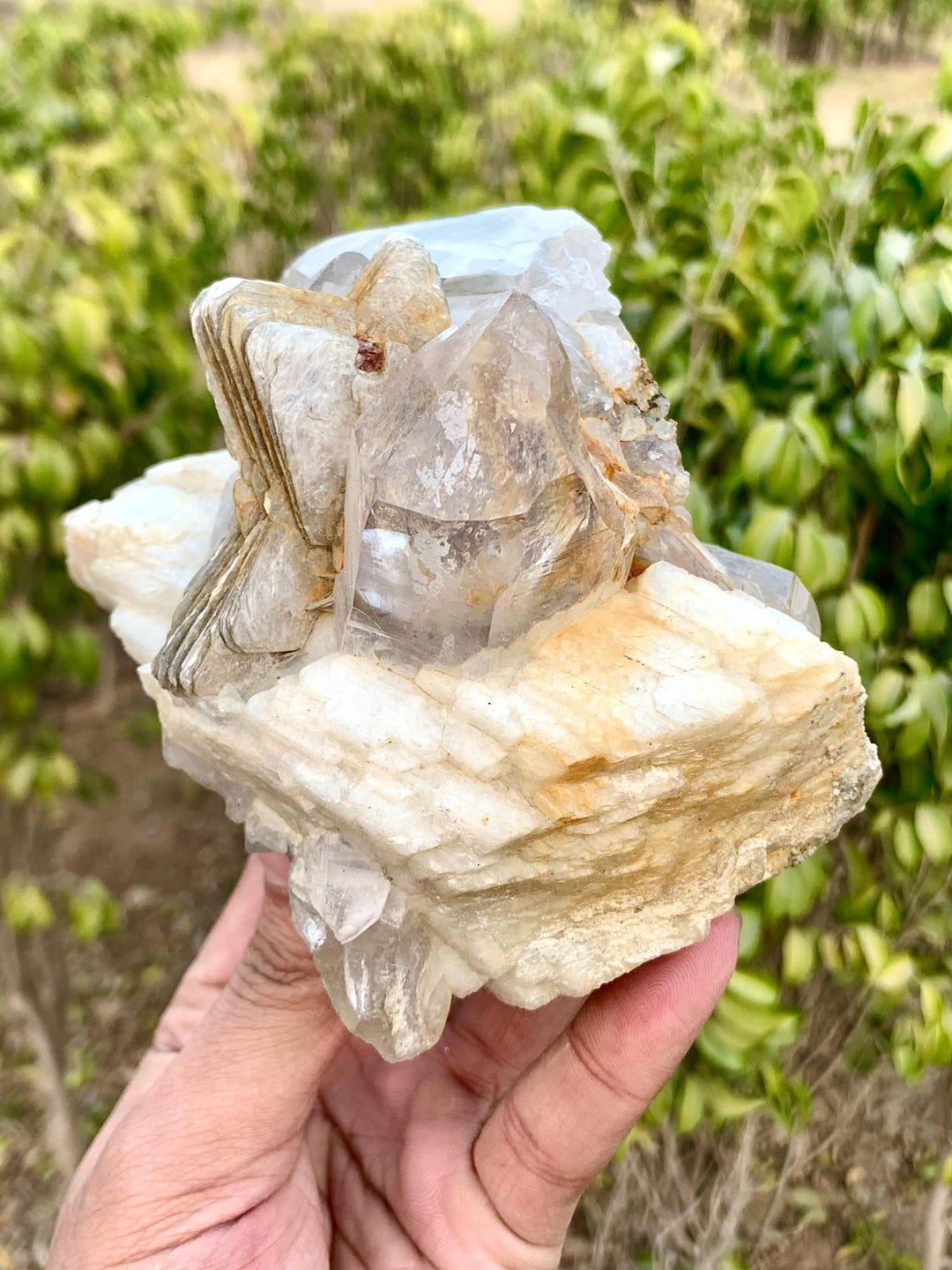 Star Mica With Transparent Quartz and Garnets on Matrix From Skardu ...