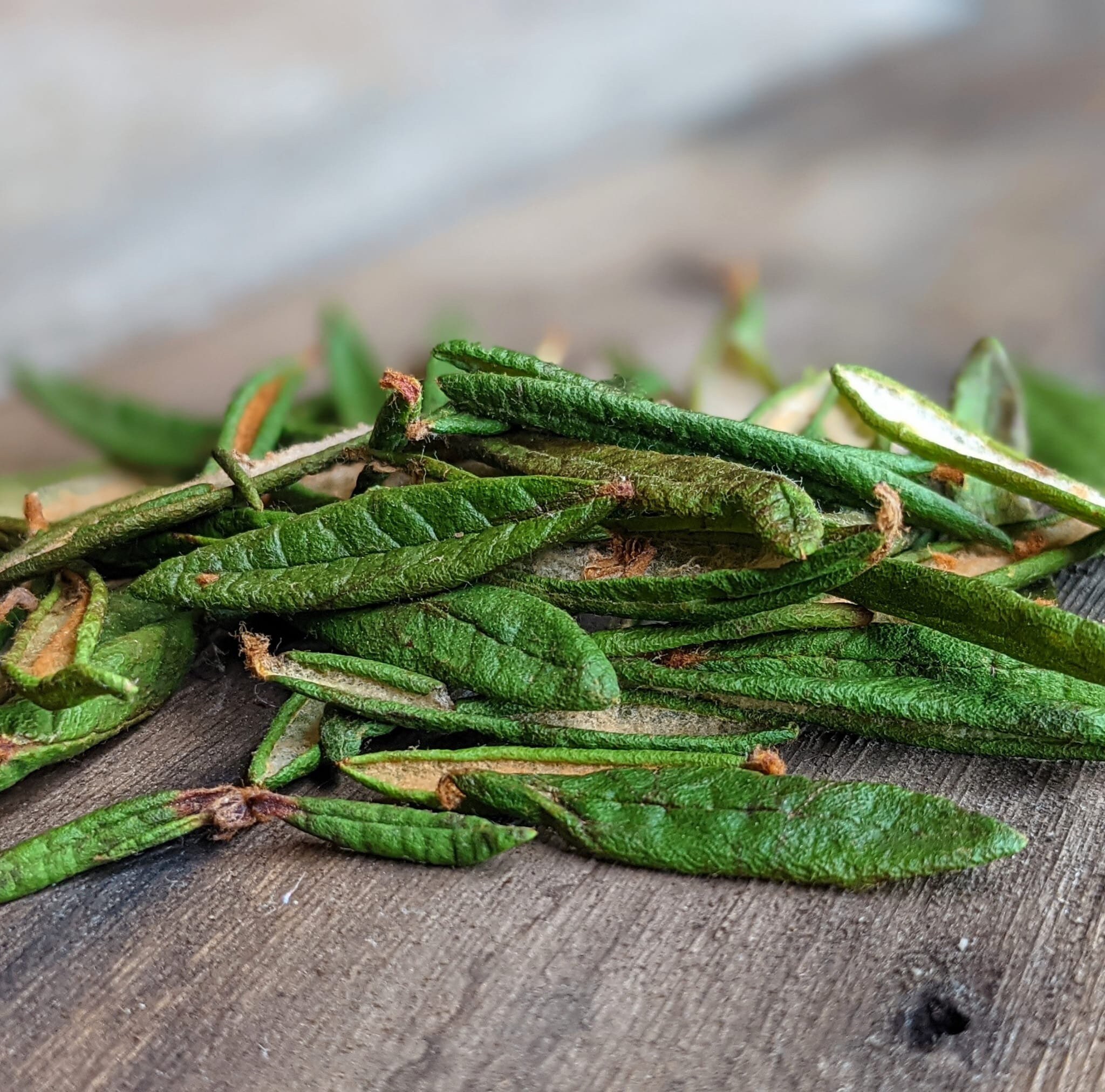 Yukon Labrador Tea, Loose Leaf Tea, Canadian Foraged Tea, Natural Tea ...