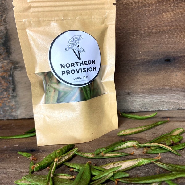 Labrador Tea - Etsy