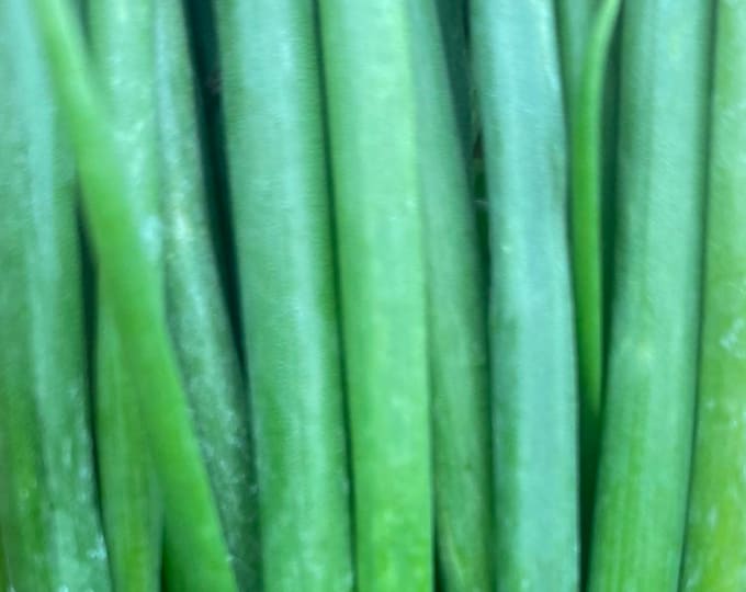 Organic Flagpole Scallion Seeds - Etsy