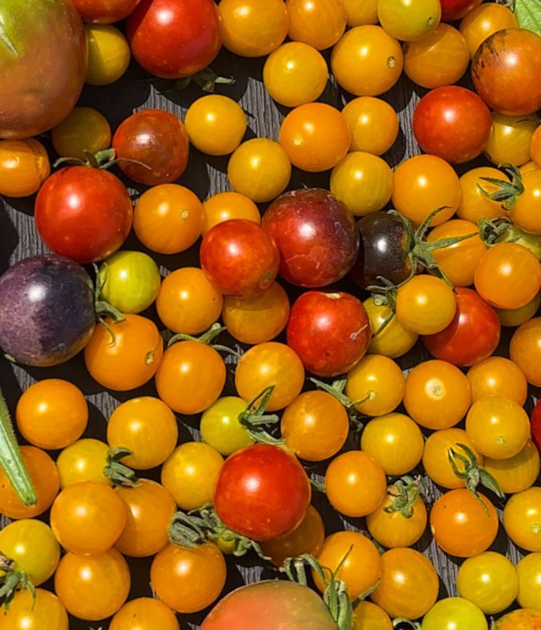Rainbow Cherry Tomato Mix Seeds - Etsy