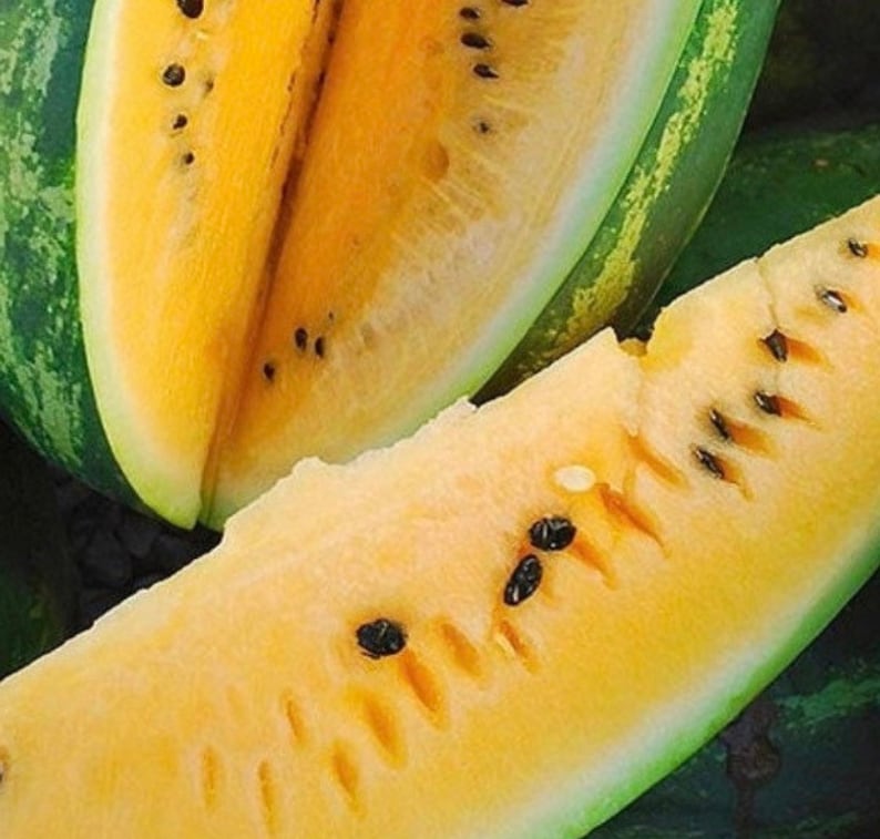 Mountain Sweet Yellow Watermelon Seeds - Etsy