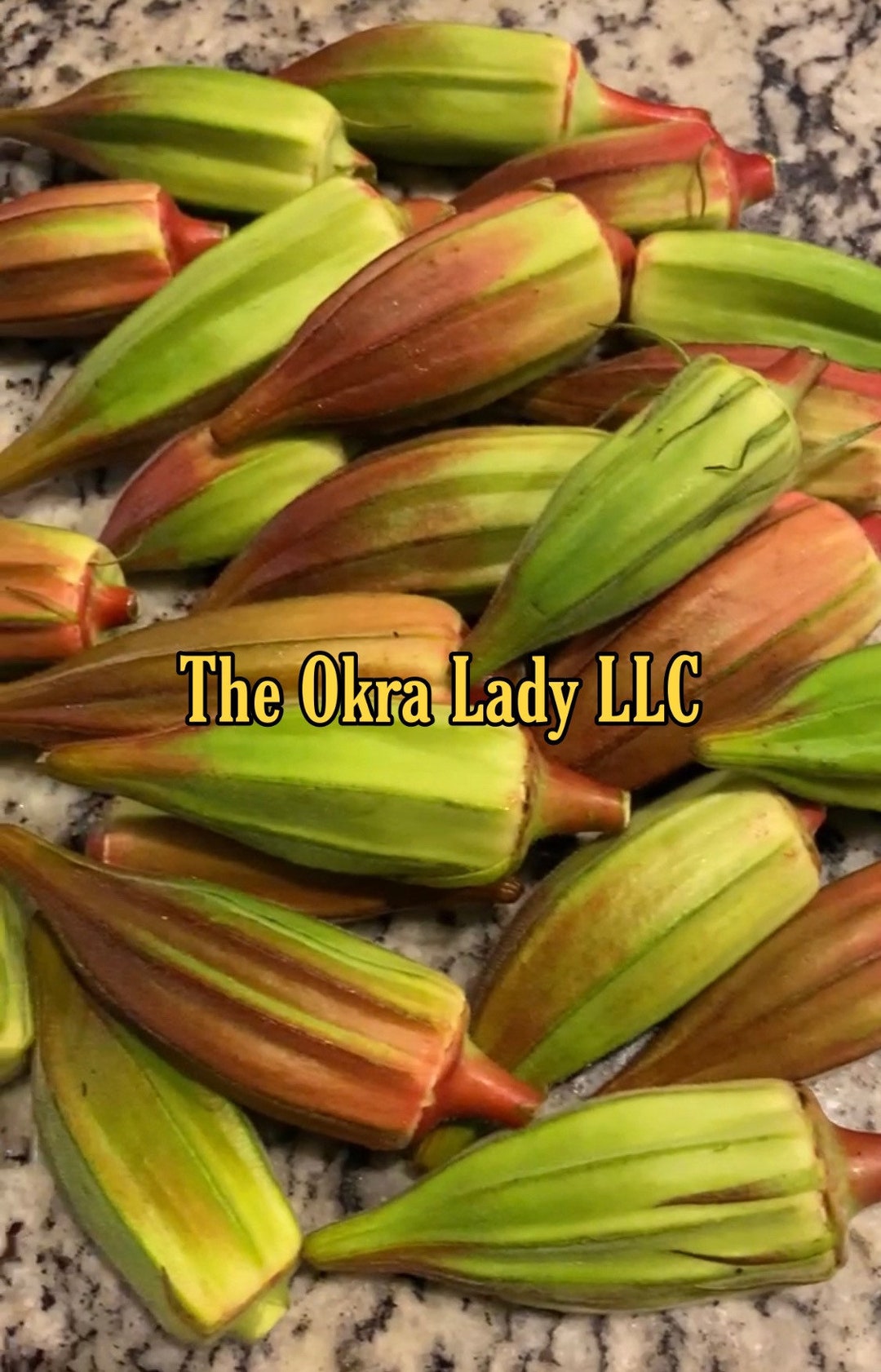 Alabama Red Okra Seeds - Etsy