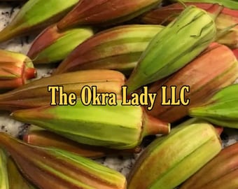Heirloom Red Burgundy Okra Seeds | Etsy