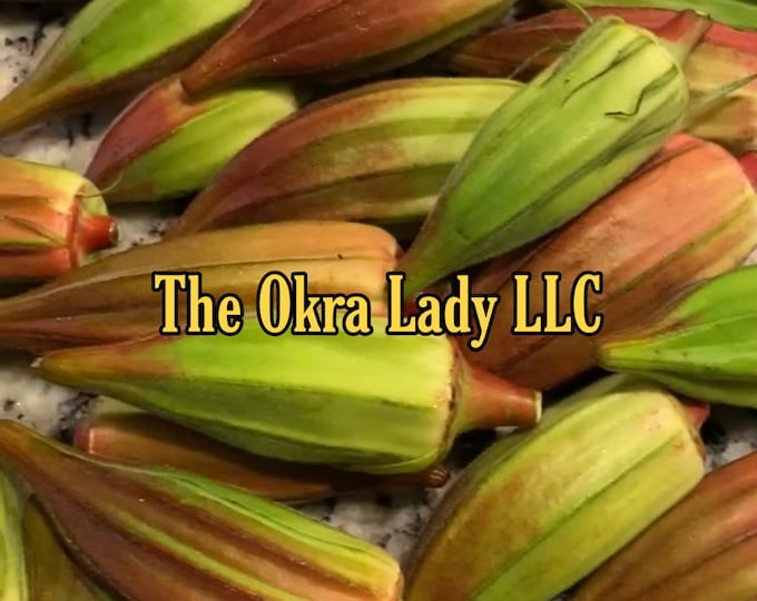 Alabama Red Okra Seeds - Etsy