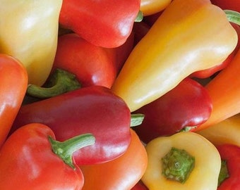 Santa Fe Grande Guero Pepper Premium Seed Packet - Etsy