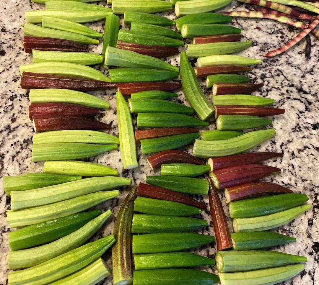 Okra Seeds - Rainbow Pack - Etsy