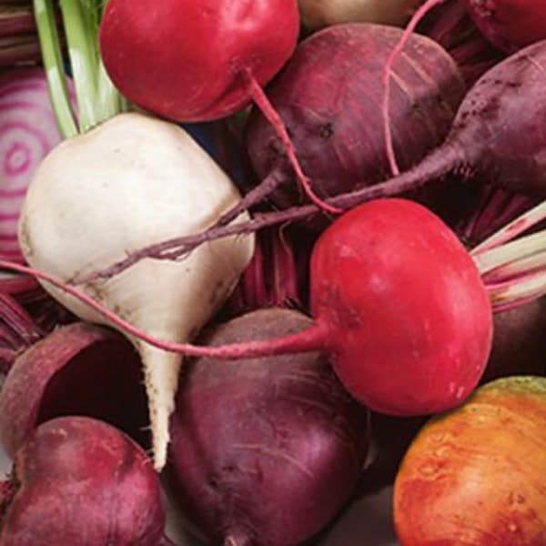 Beet Seeds - Etsy