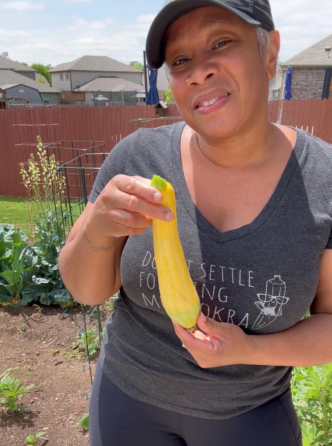 Zephyr - Hybrid Yellow Summer Squash Seeds - Etsy