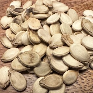 Congo Watermelon Seeds - Etsy