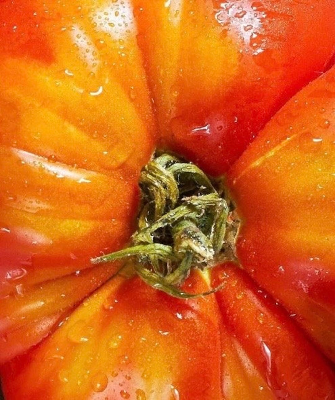 Flame Tomato Seeds - Etsy