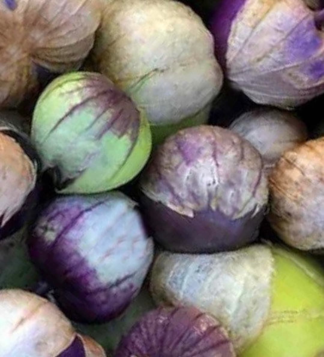 Purple Tomatillo Seeds - Etsy