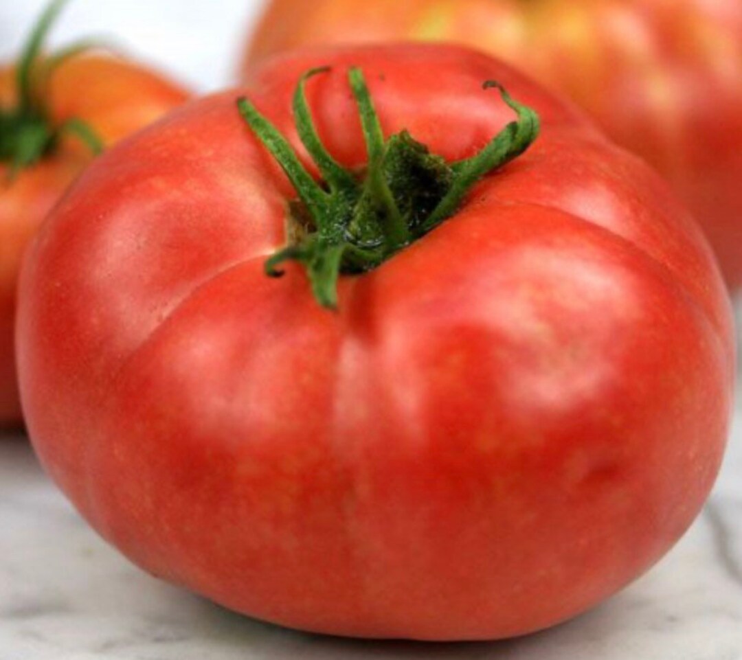 German Johnson Heirloom Tomato Seeds - Etsy