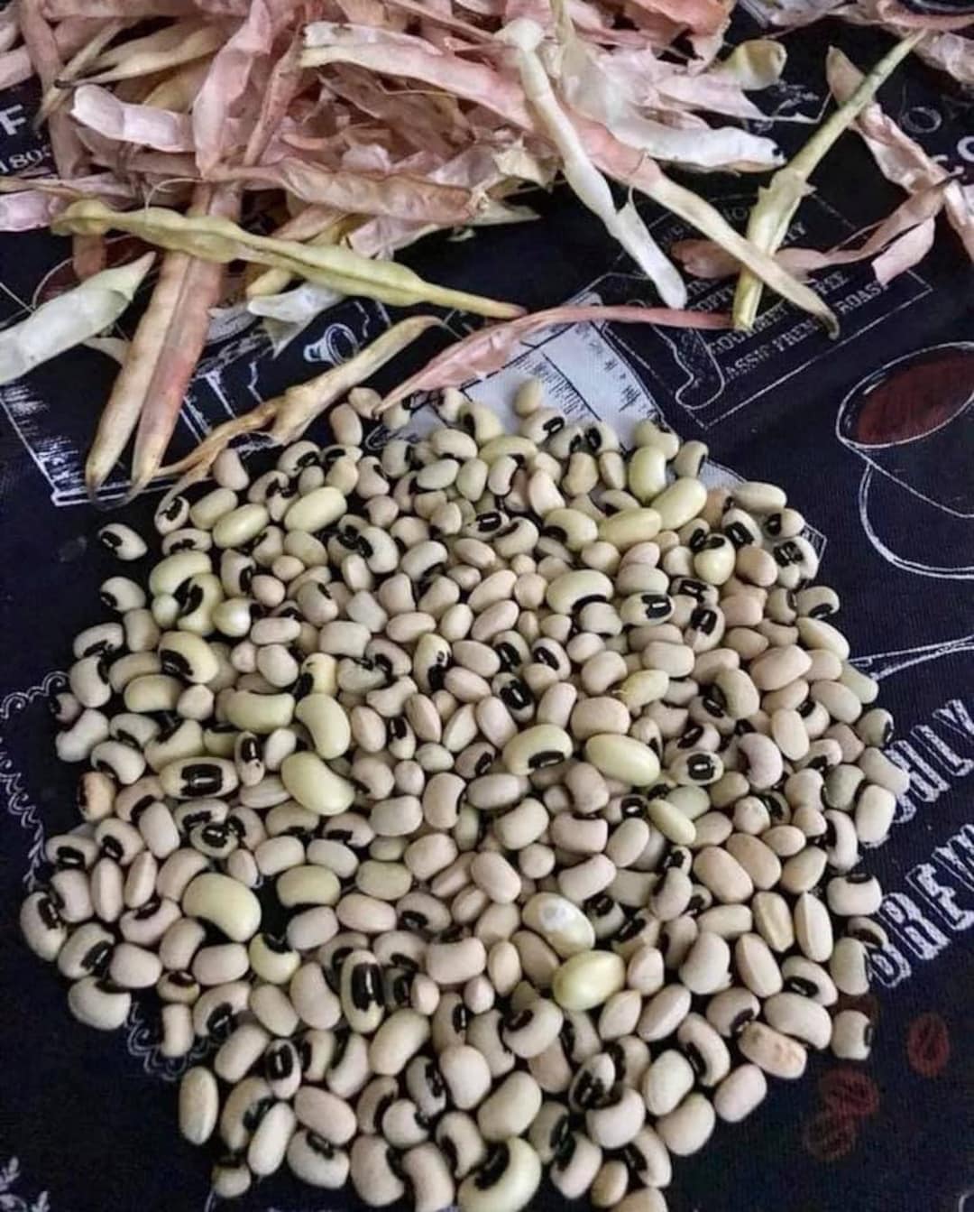 Blackeye Pea Bush Bean Seeds (california) - Etsy