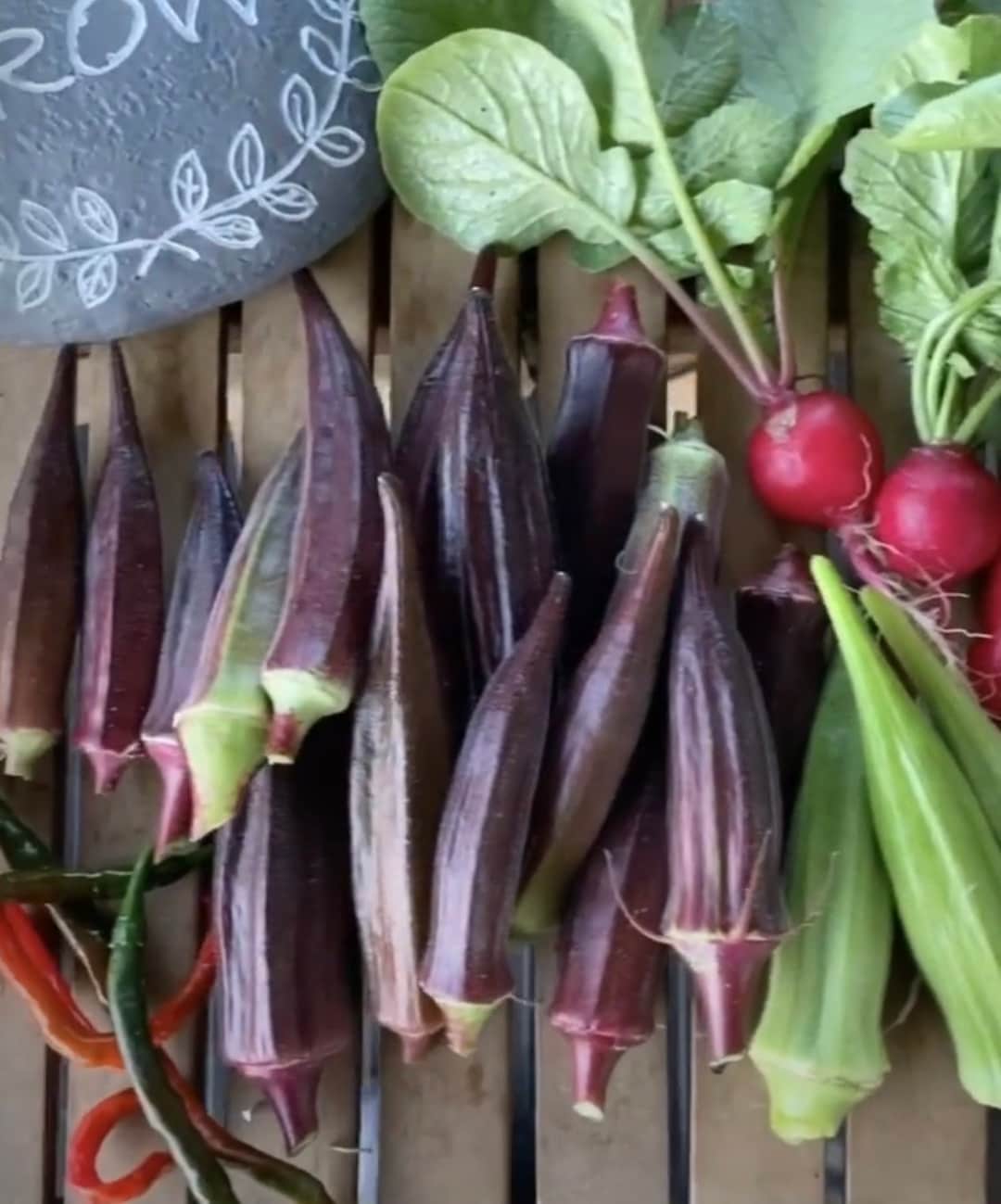 Heirloom Red Burgundy Okra Seeds - Etsy