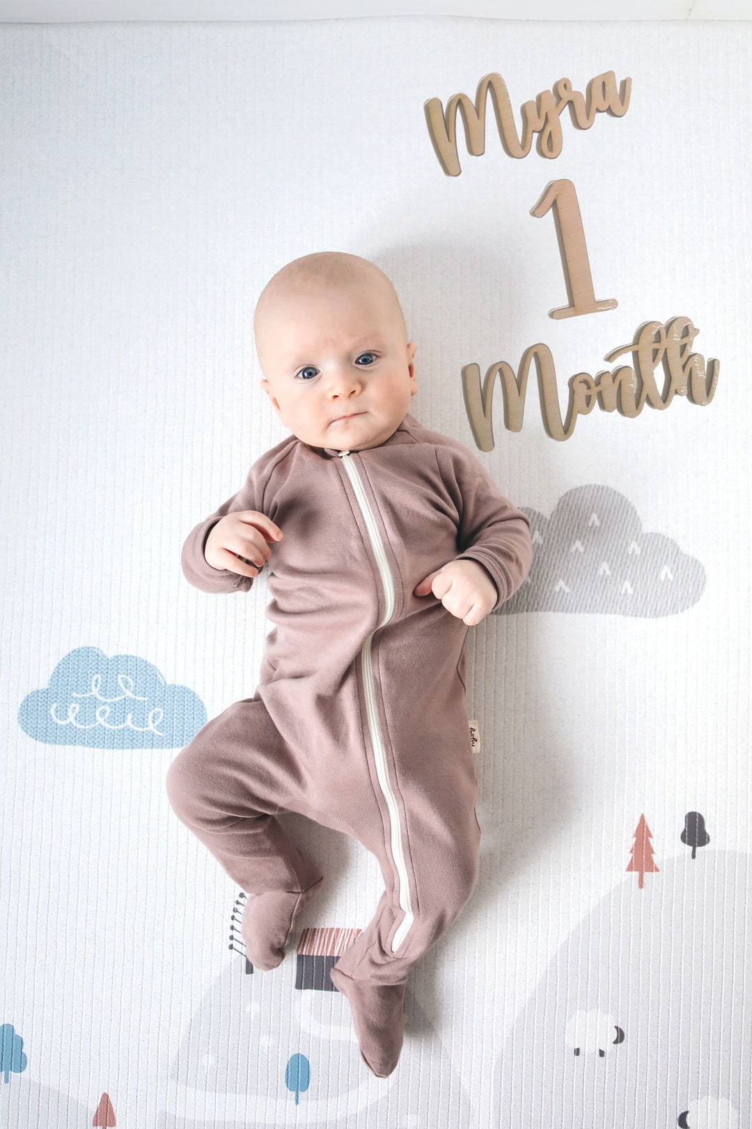 Baby Monthly Milestone Wood Laser Cutouts - Nursery Signs, Baby Decor ...