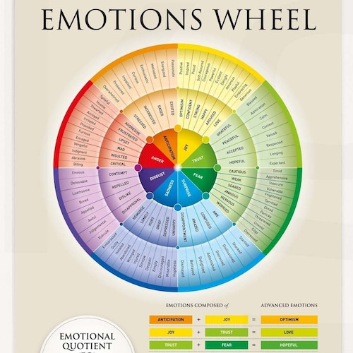 Emotions Wheel. Emotional Healing Energy and Therapeutic Wall - Etsy