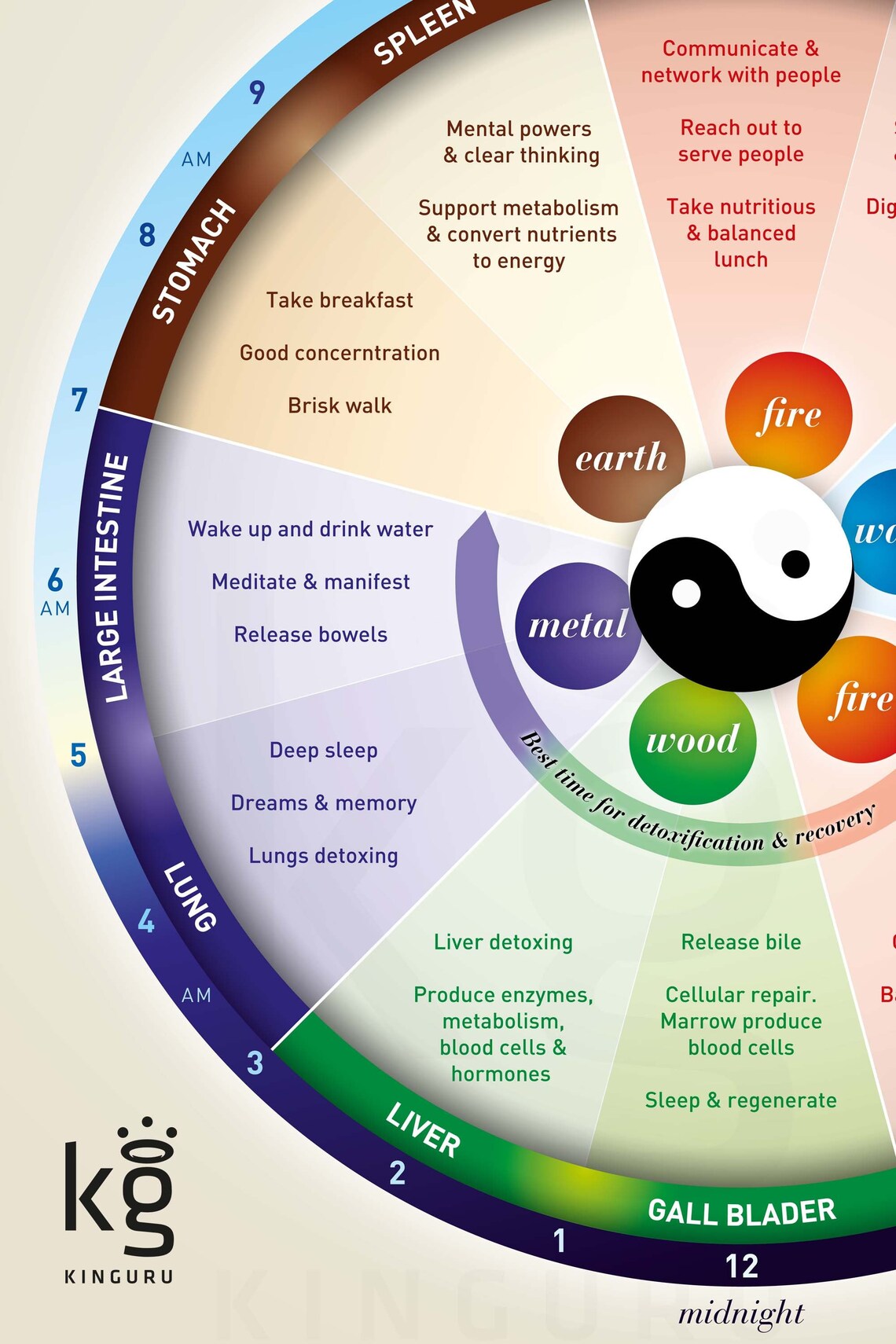Health Chart. Body Clock. Energy Cycles for Health & Healing | Etsy ...