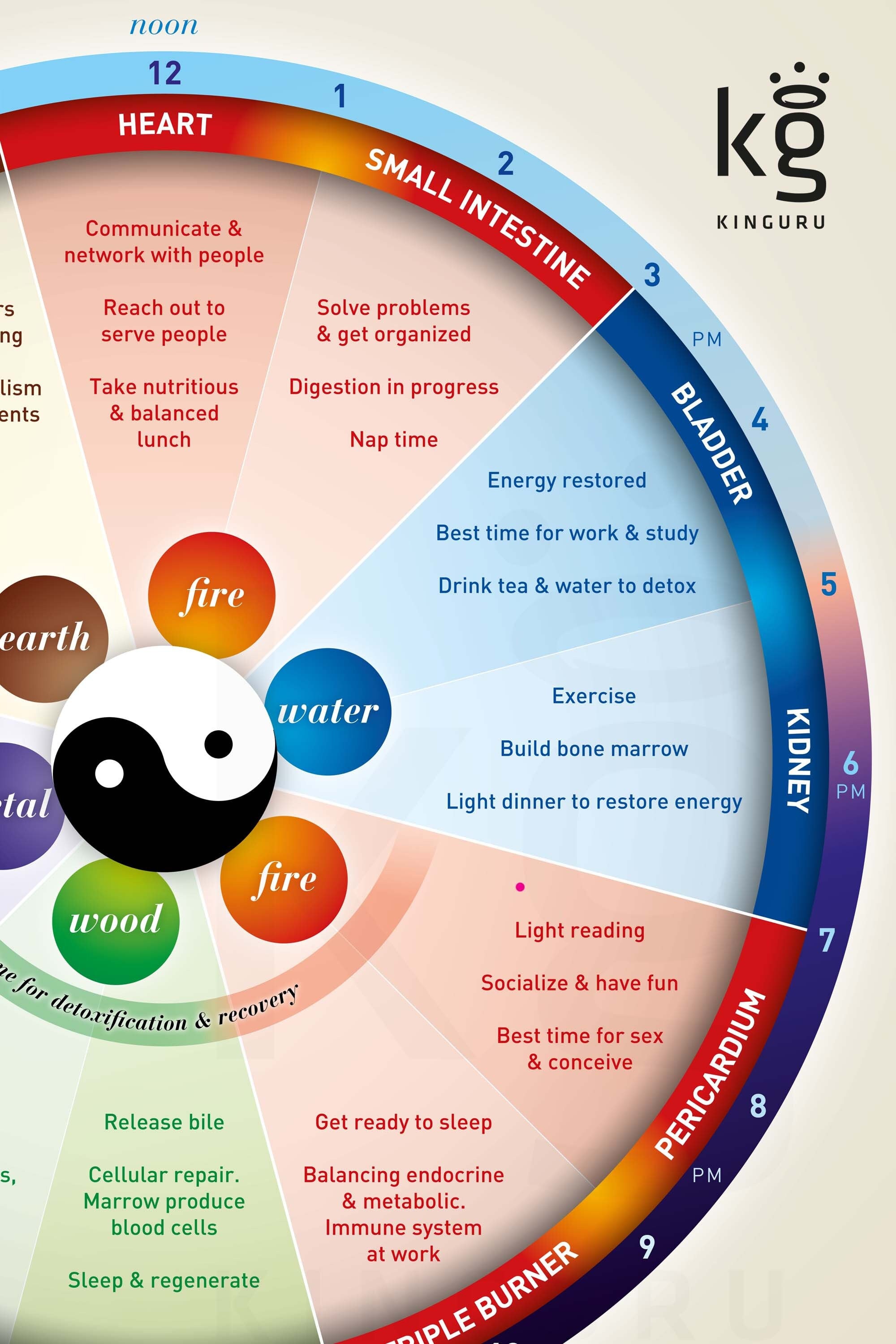 Health Chart. Body Clock. Energy Cycles for Health & Healing - Etsy Canada