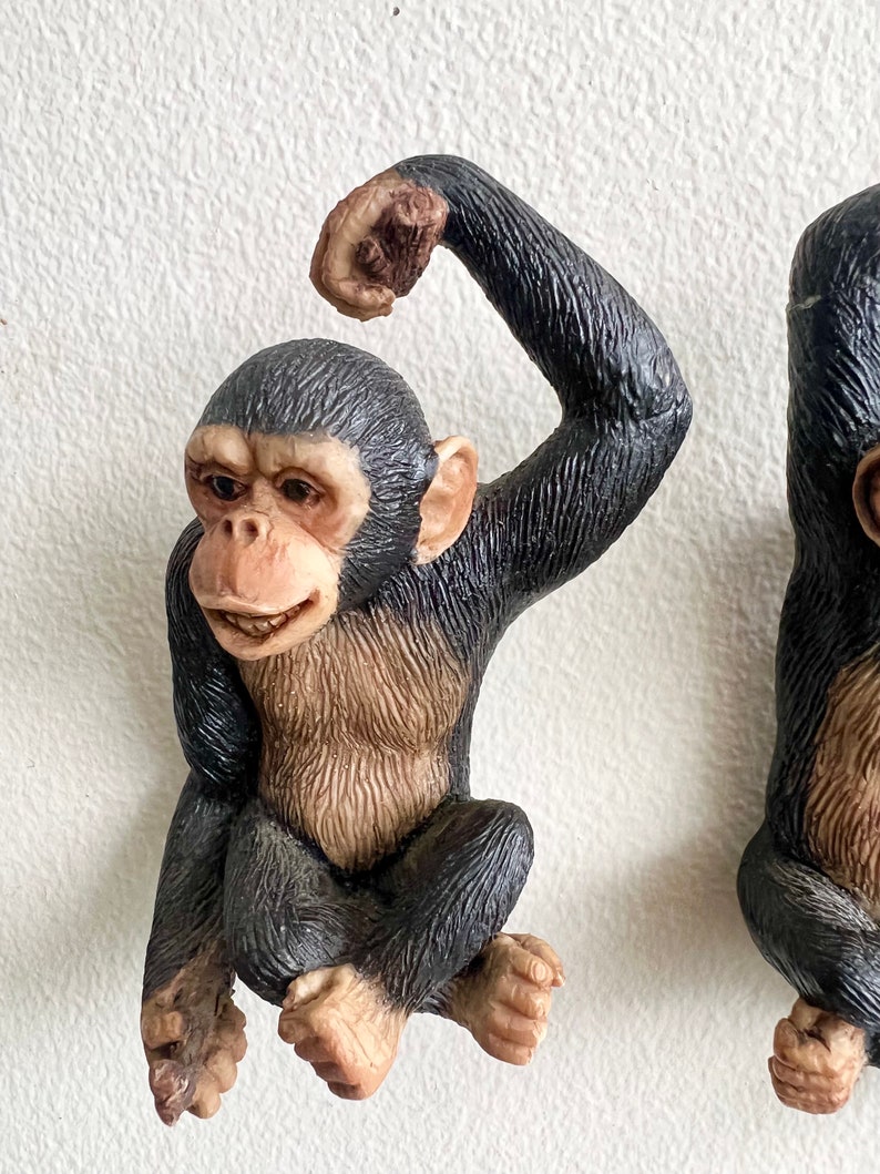 Vintage Monkey Wall Decor. Gallery Wall Decor. - Etsy