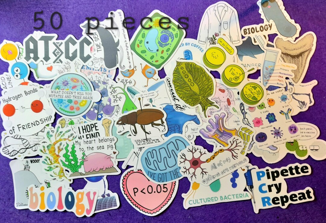 Funny Biology Stickers: Science Graffiti Decals (25/50 PCS) - Etsy