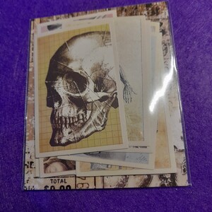 Vintage Stickers Biological Anatomy Skeleton 12 Pieces Junk - Etsy