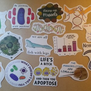 Funny Biology Stickers: Science Graffiti Decals (25/50 Pcs) - Etsy