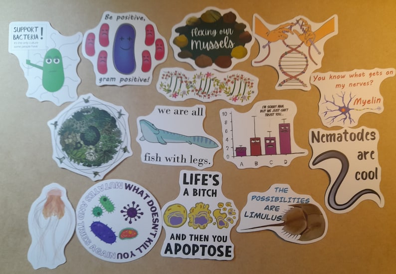 Funny Biology Stickers: Science Graffiti Decals (25/50 Pcs) - Etsy