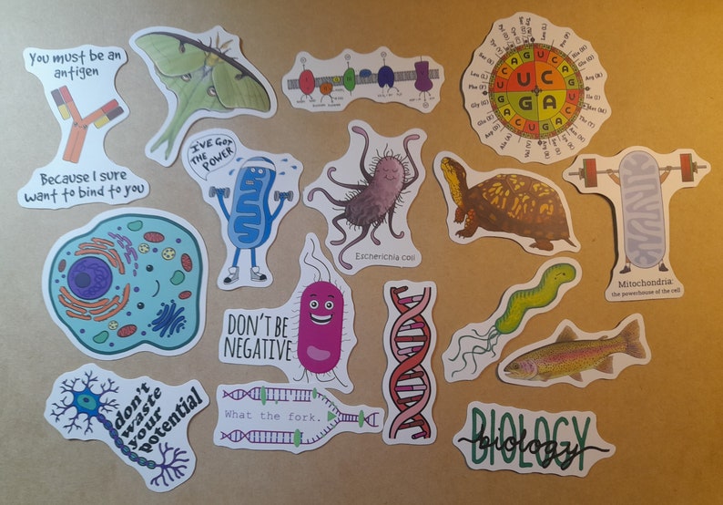 Funny Biology Stickers: Science Graffiti Decals (25/50 Pcs) - Etsy
